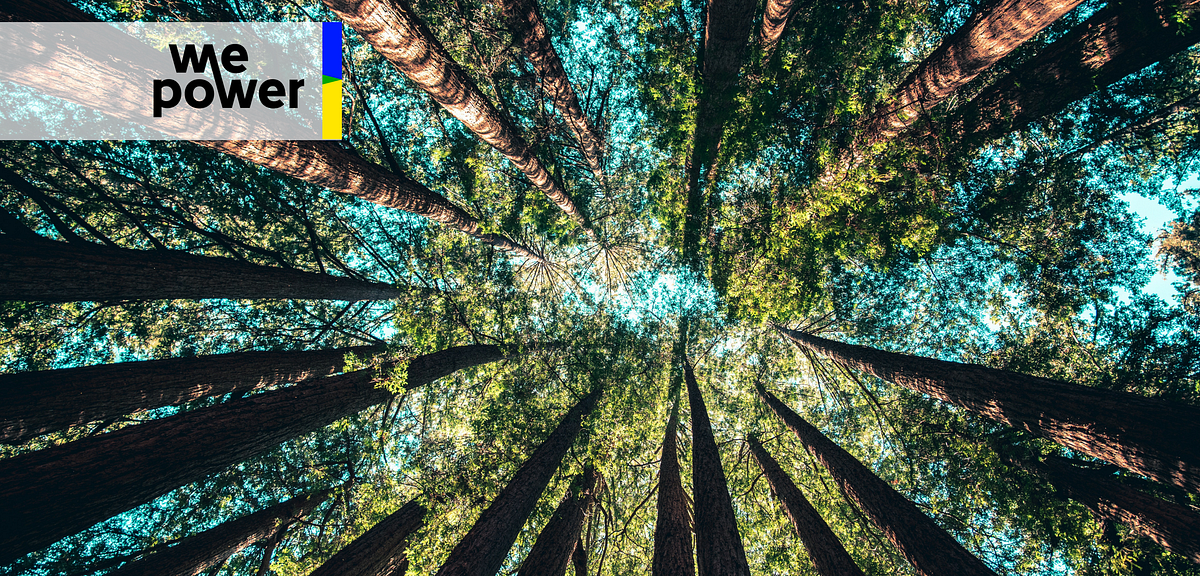 WePower — a founding member of the Climate Chain Coalition | by Aukse ...