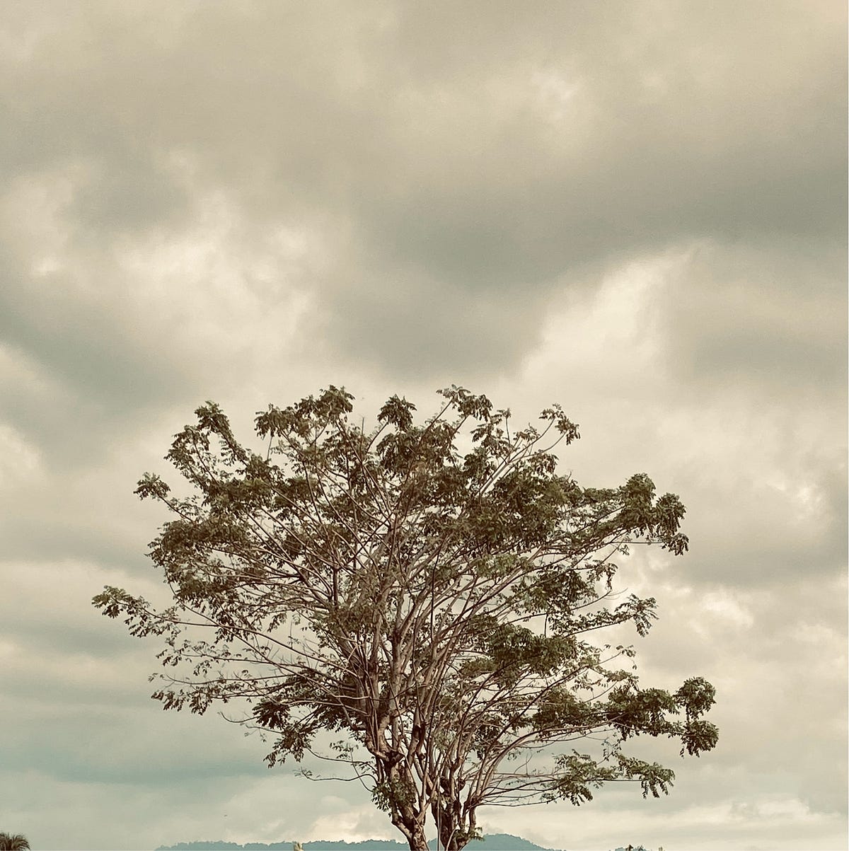 Rain Falls in August. Rain keeps falling, but so do I, and I… | by ...