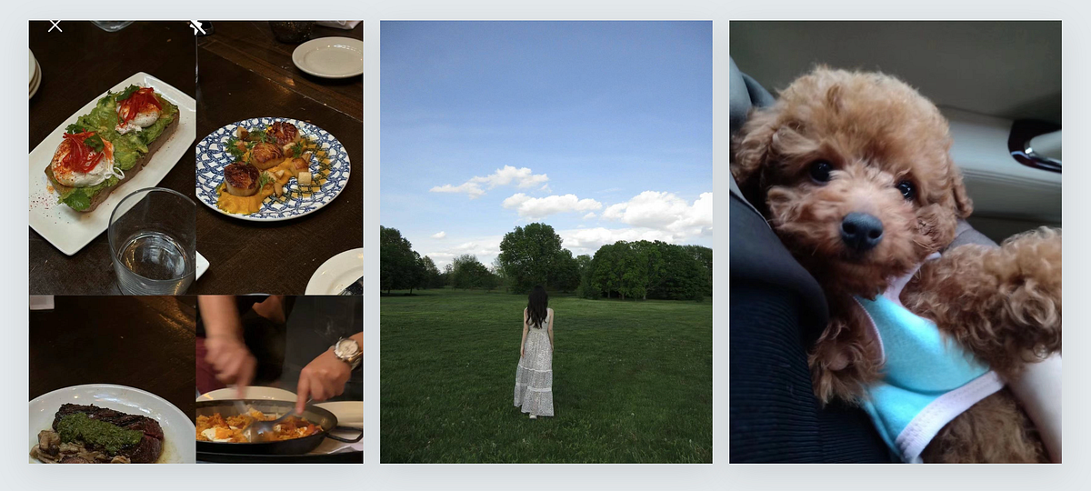 Profile Lab 2. Each of these profile pictures… | by Sarahf | Nov, 2024 ...