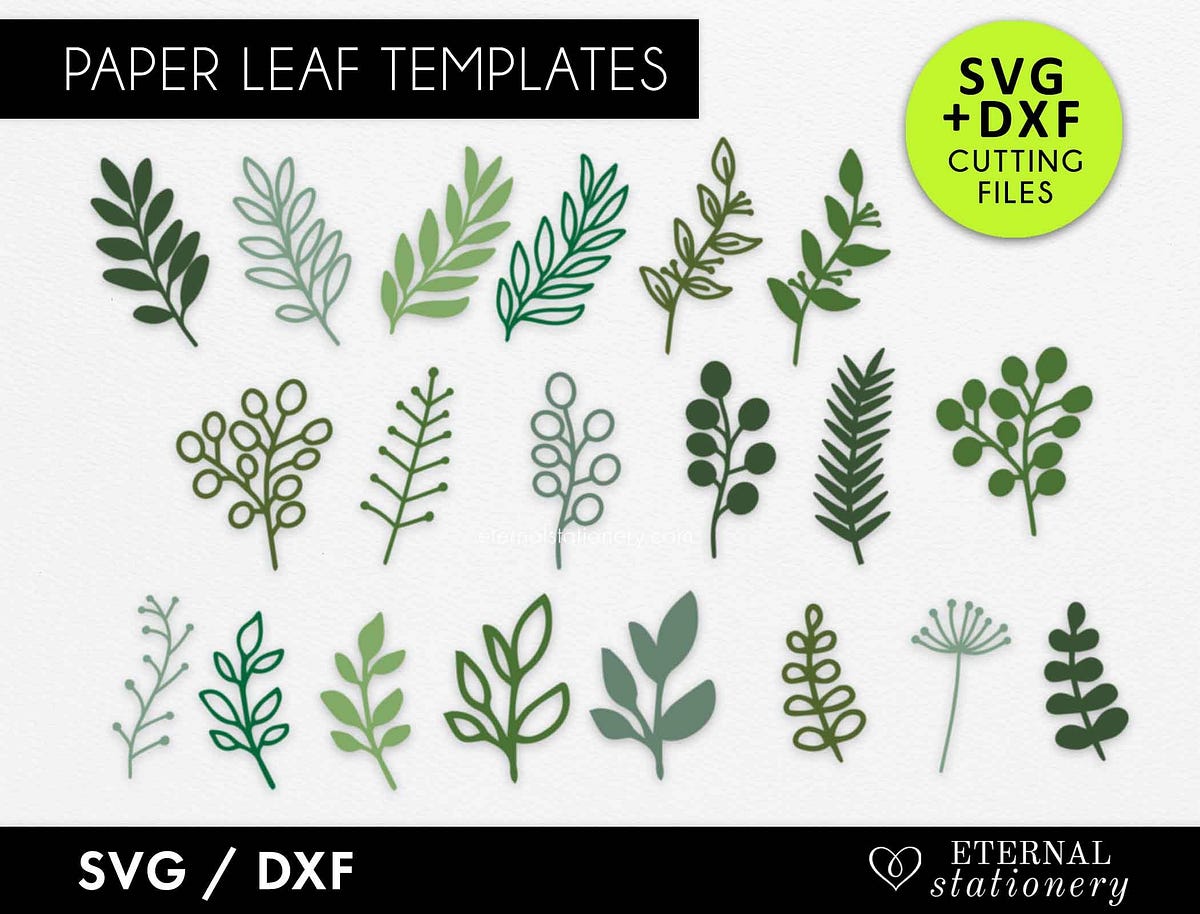 20x Hand drawn Leaf SVG, Leaves svg, Floral svg, greenery svg, paper ...