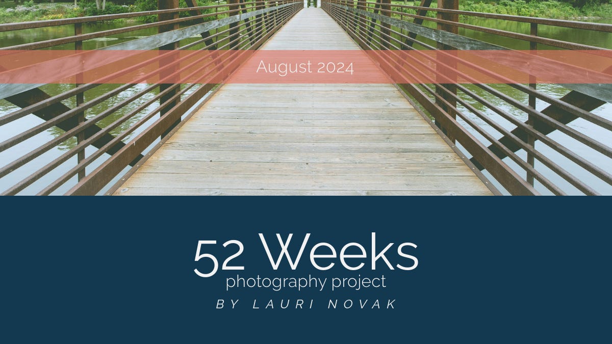 52 Weeks Photography Project. August 2024 | by Lauri Novak | Full Frame ...