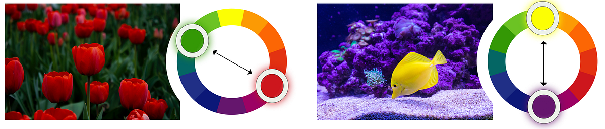 Understanding Colors— Part II: Color Theory | by Navyanshi Nayan ...