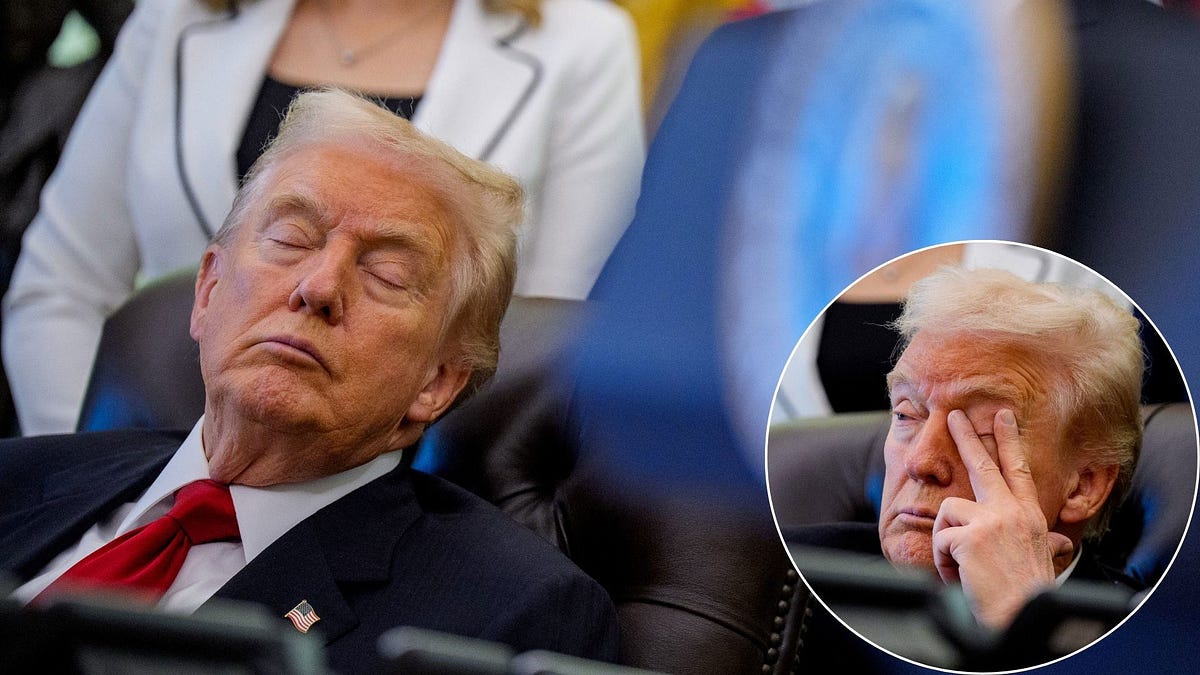 “Make America Scared Again”. “Make America Scared Again” is such a ...