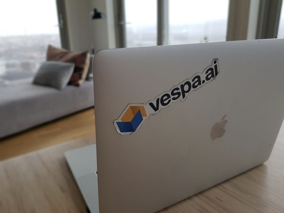 Vespa.ai and the CORD-19 public API | by Thiago G. Martins | TDS Archive | Medium