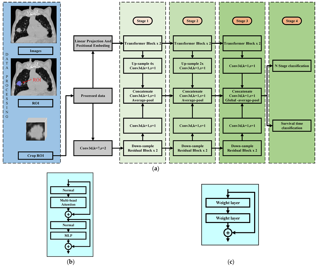 The Rise of Hybrid CNN-Transformer Architectures | by Savindu Fernando ...
