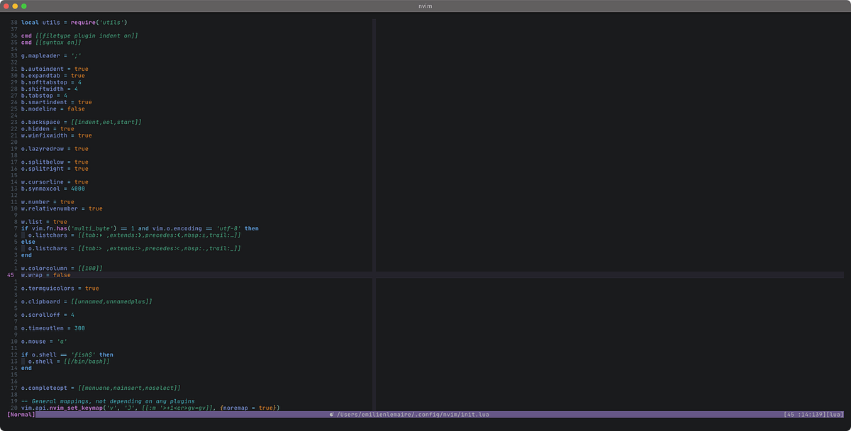 A quick guide to configure Neovim in lua | by Emilien Lemaire | Medium