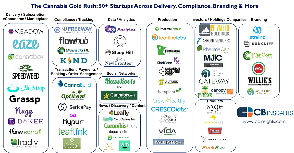 Cannabis Tech Hardware Wunderkind: | by Luke Pustejovsky | Medium