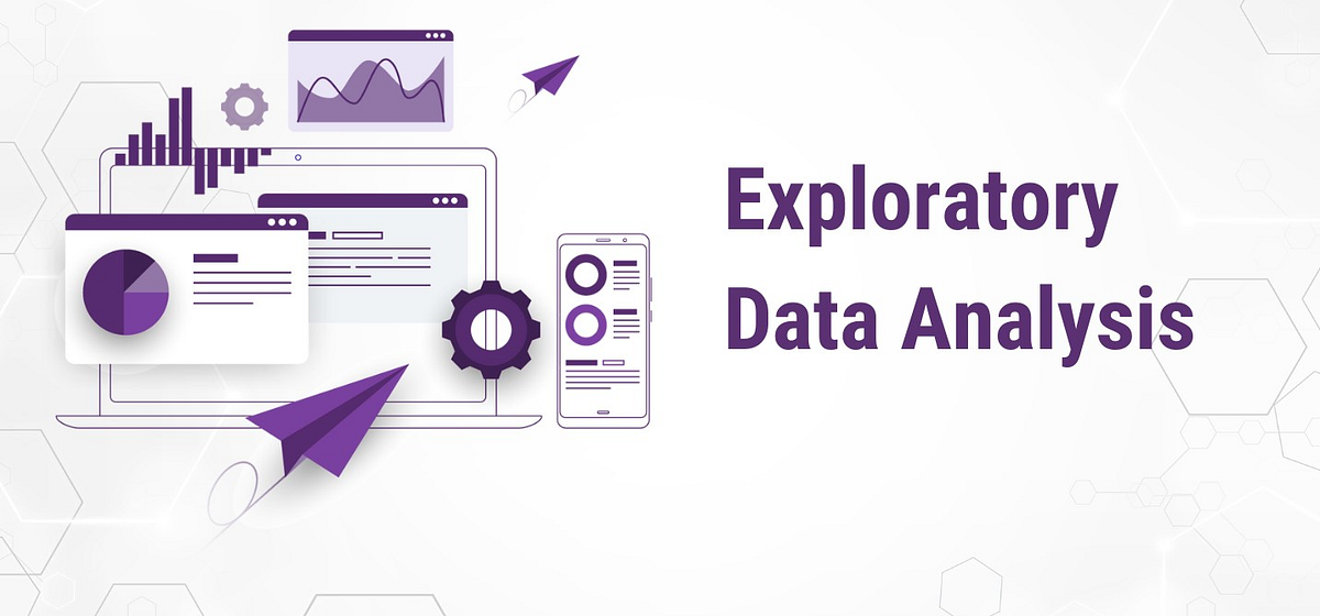 Decoding The Patterns Unraveling Data Insights Through Univariate Analysis By Siddhant Kunwar