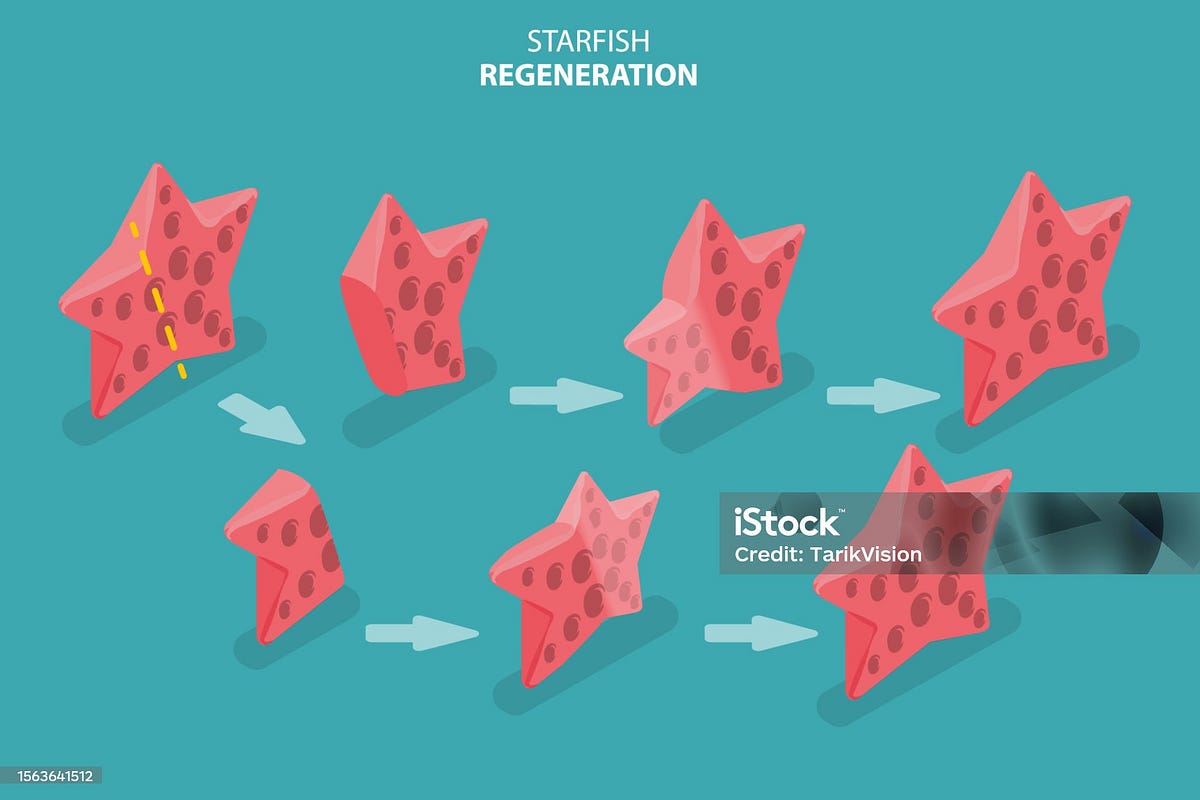 Why Starfish Can Regrow Lost Arms | by Janae Davis | Dec, 2025 | Medium
