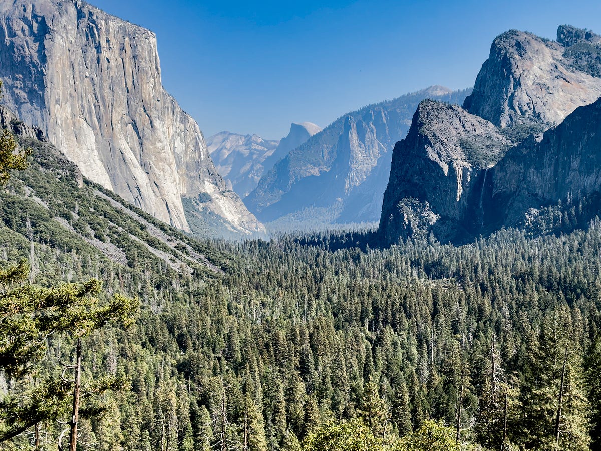 My Bookshelves Display My Souvenirs from Around the World | by Jerry ...