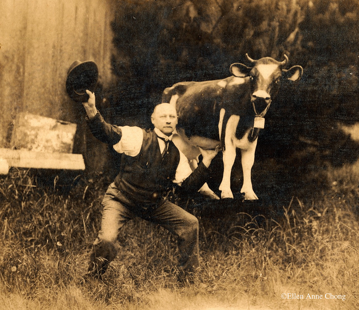 Go Ahead, Have a Cow, Man!. Ruminations, rants and raves | by Ellen ...