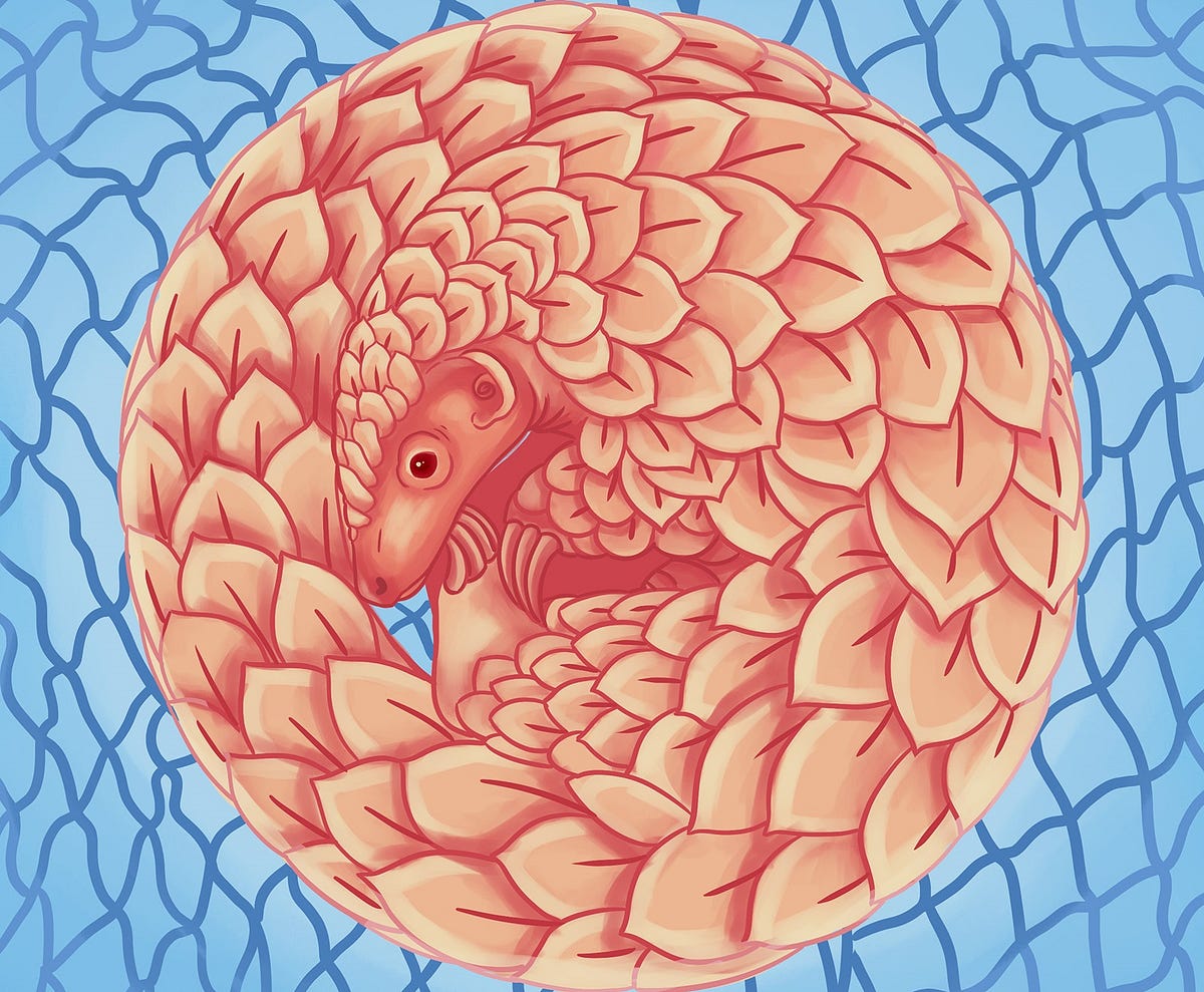 the wranglin’ pangolin. a quarantine-inspired animal rhyme | by Joe ...
