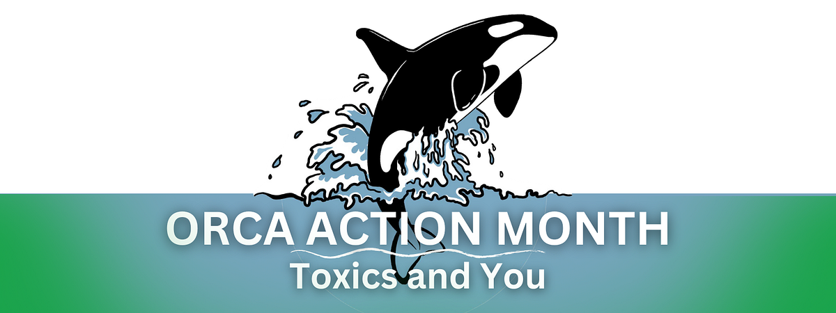 Orca Action Month: Toxics and You | by The Washington Department of ...