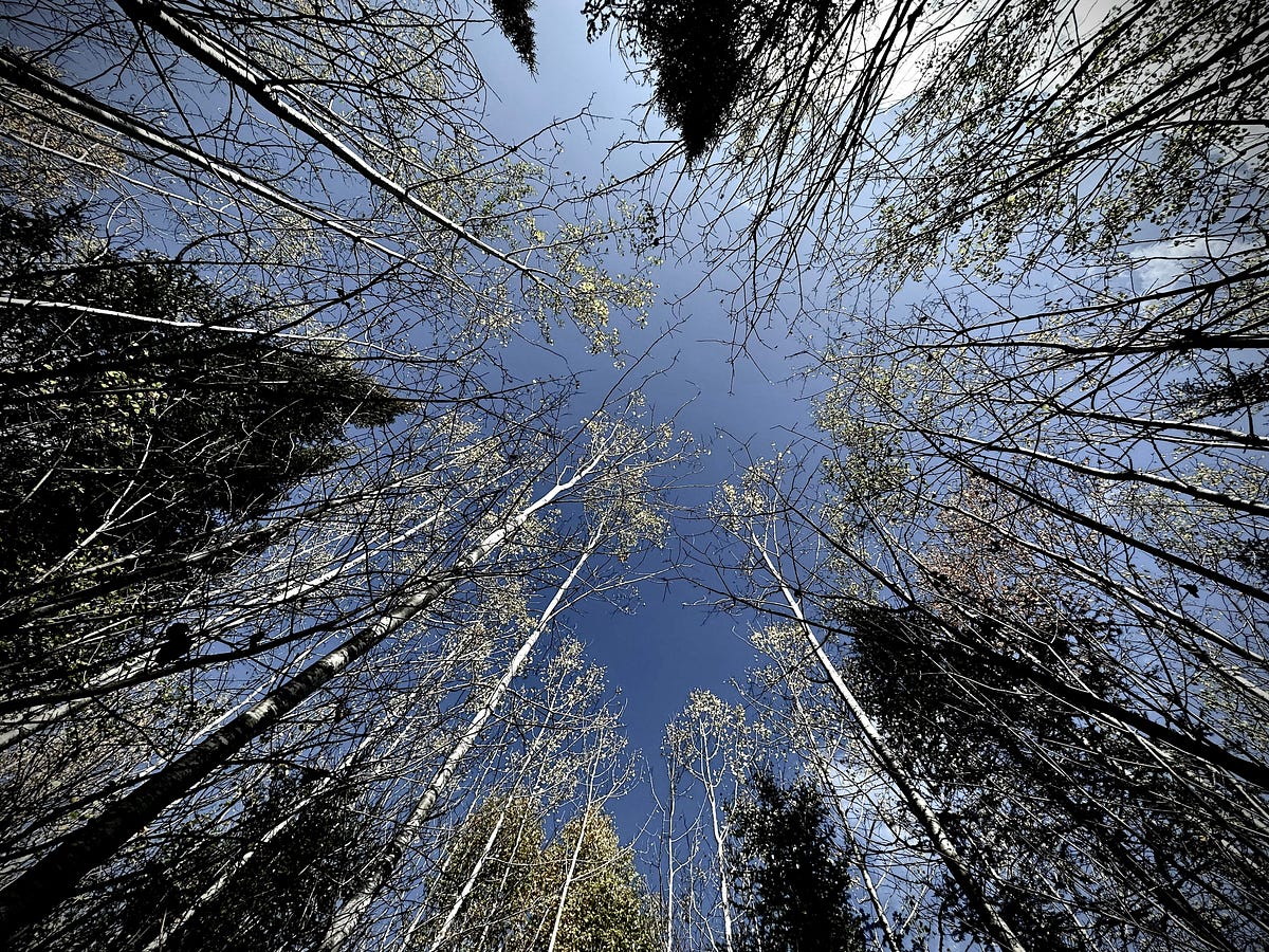 Gaining a New Perspective Leads to a Richer Life and Better Images | by ...