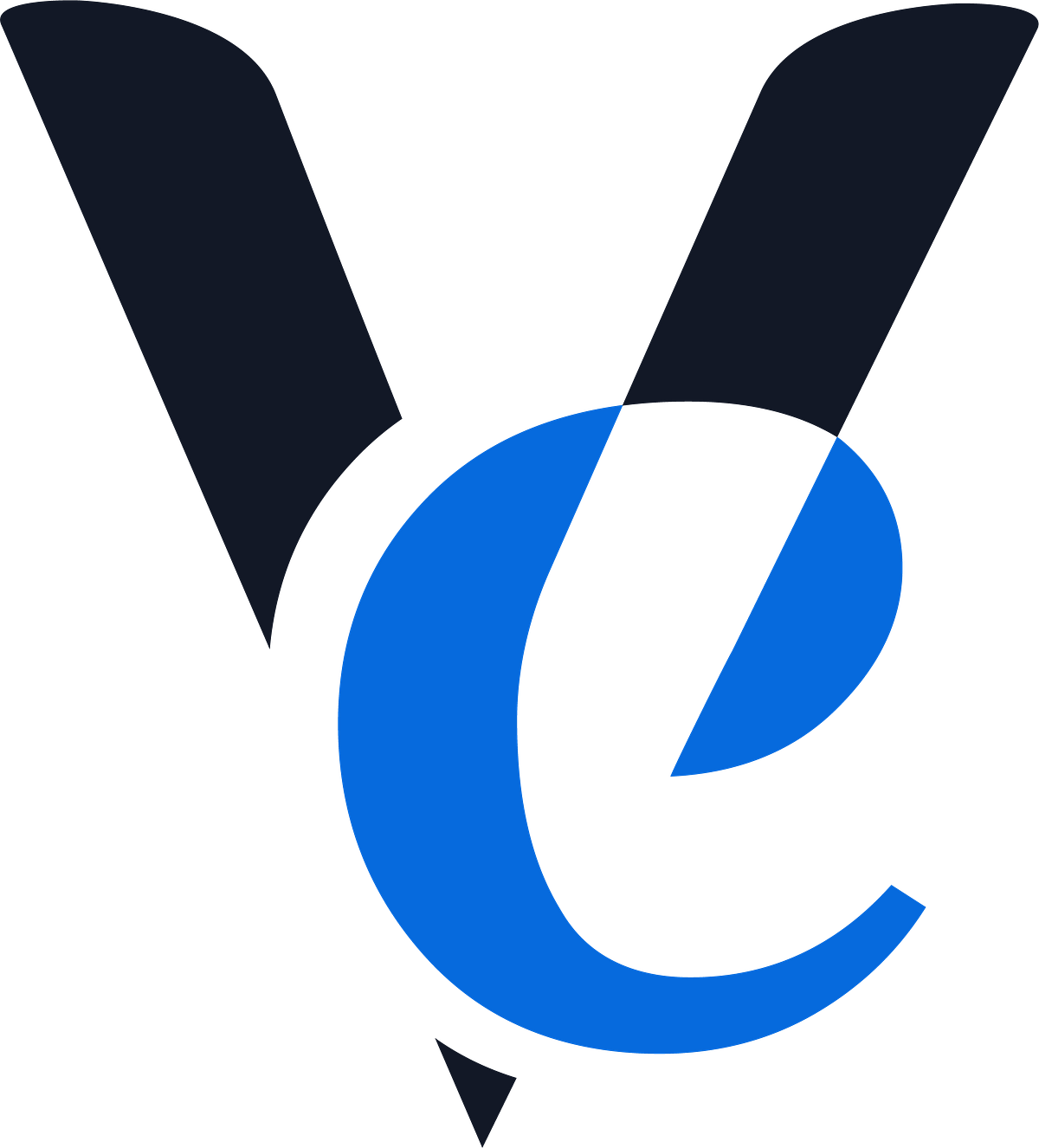 Ve Global Case Study. Ve Global is an innovative company that… | by ...