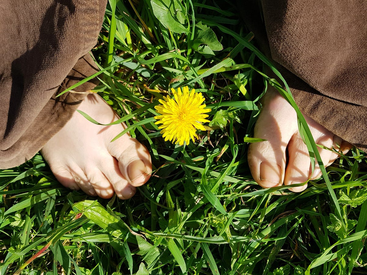 Barefoot Gardener. We grow a lot of our own food , but the… | by Paul ...