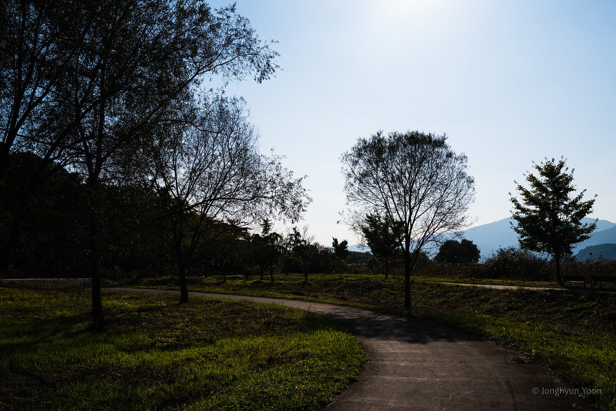 LIFE: curved road - jonghyun yoon - Medium