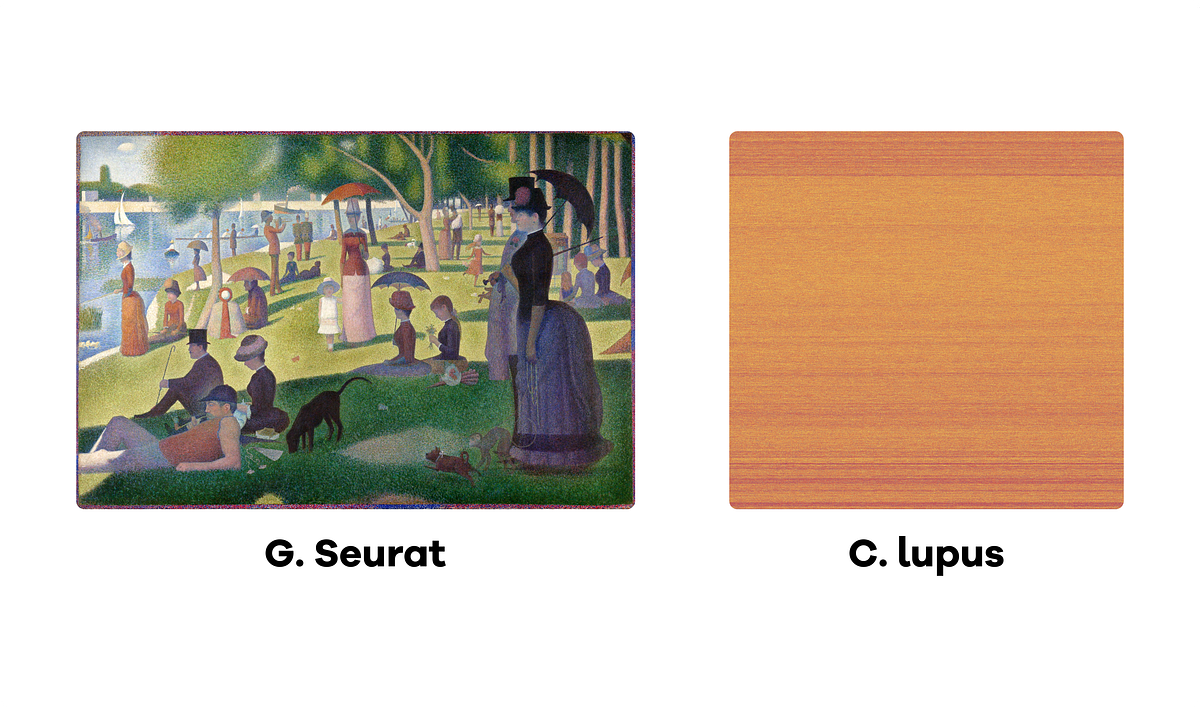How You Can Turn A Genome Into A Painting | by Murto Hilali | TDS ...