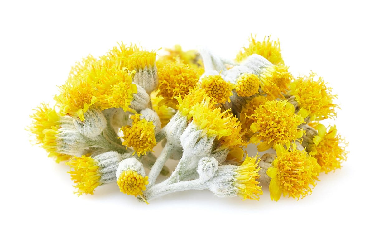 Indesign torrent. Adobe InDesign can be just actually a… | by Eugene ...