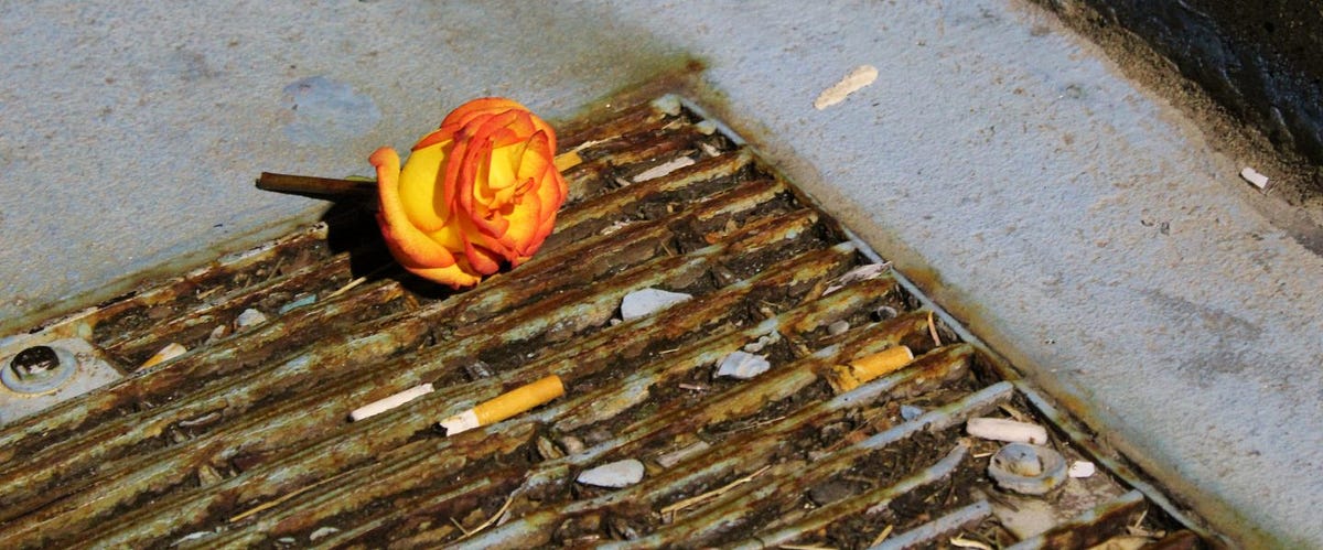 Fault Lines - Lay Low Magazine - Medium