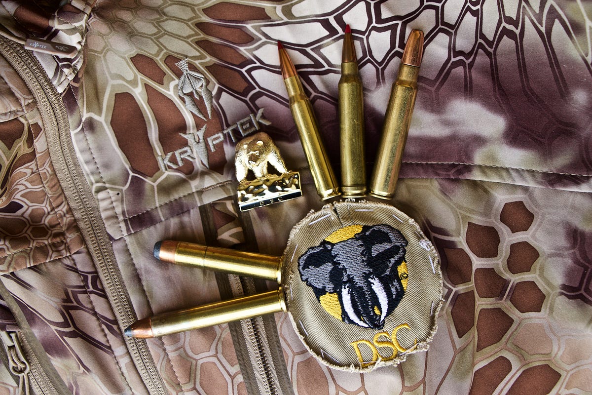 Bear primer. Wildlife biologist and outdoor writer… | by Hornady Manufacturing | The Hole Story