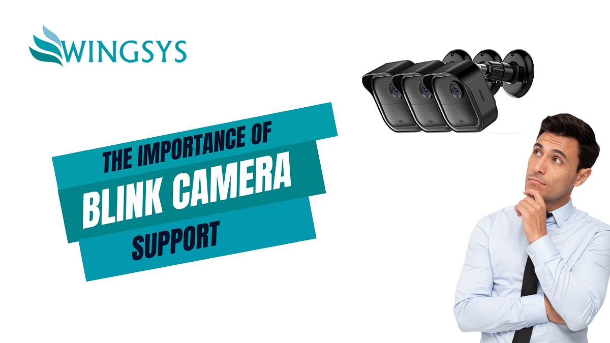 Blink Camera Support. Title: Navigating Peace of Mind: The… | by ...