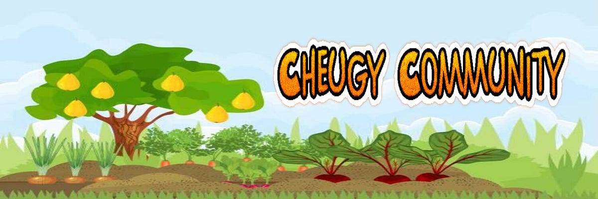 Cheugy Coin is a decentralized meme coin developed from American ...