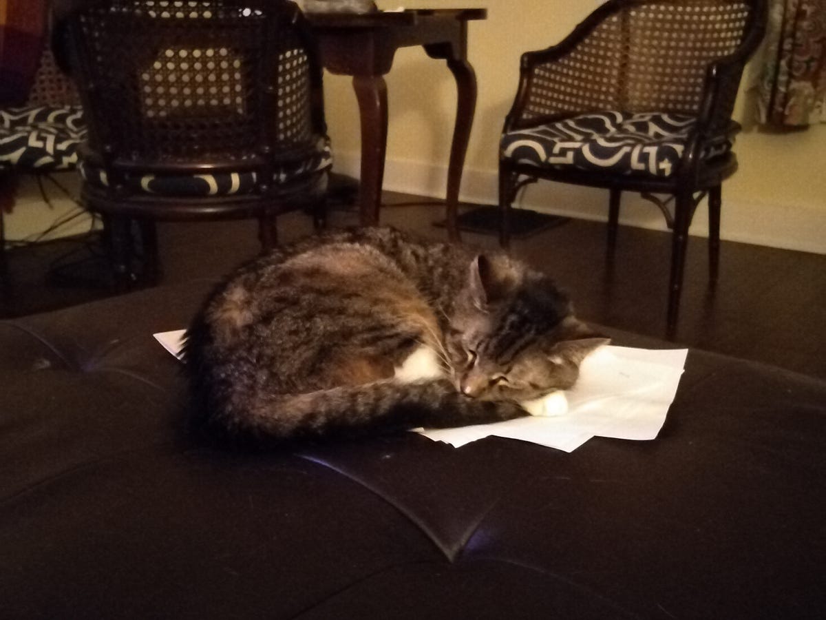 The Latter Years. An impending concern in 100 words | Medium