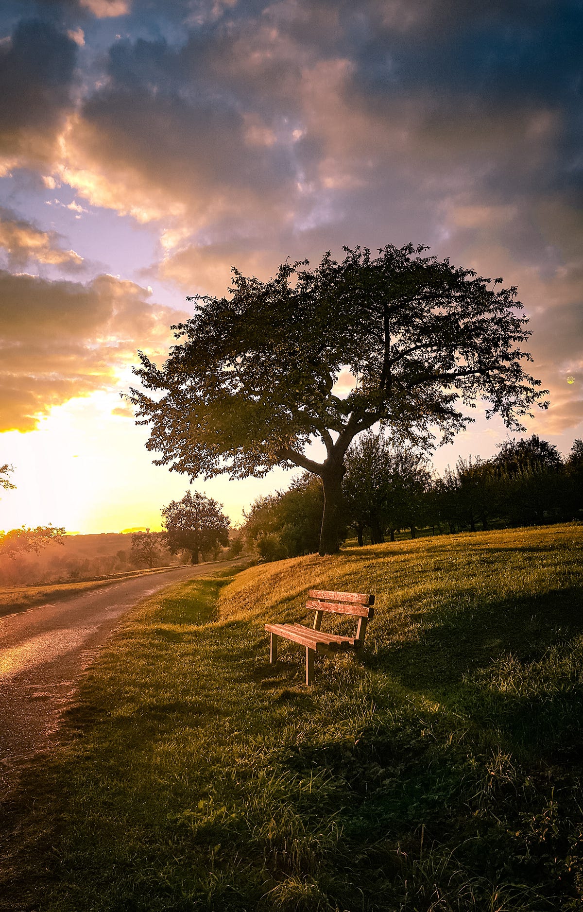 C — Creating Expression Trees For Dynamic Query Generation By Keyur