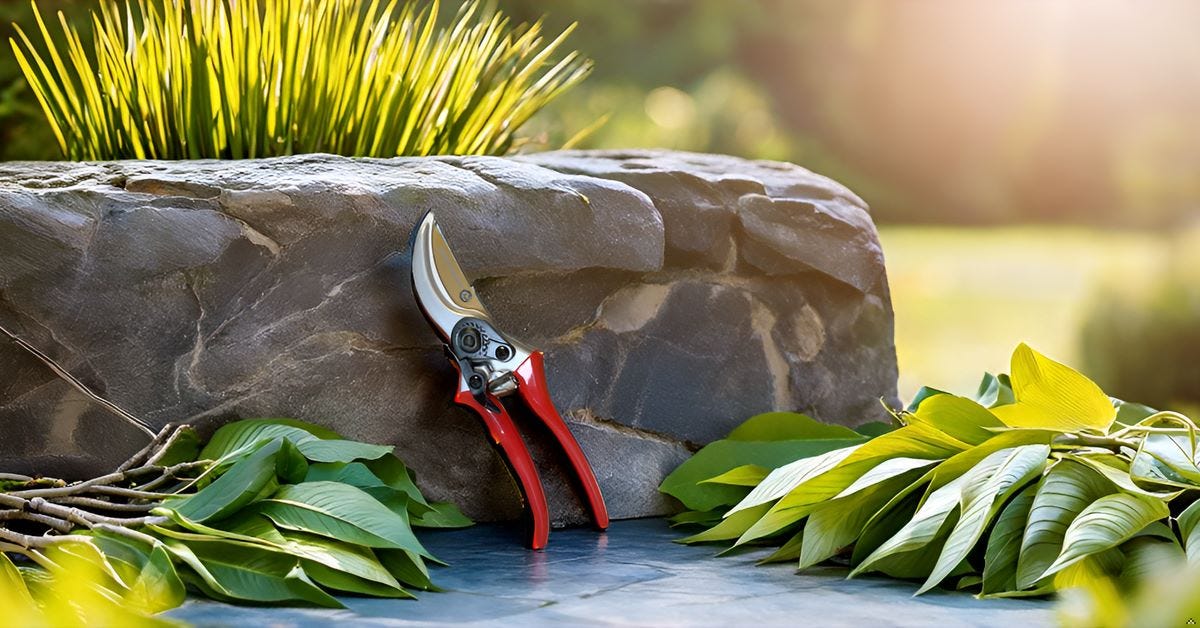 Best garden pruners of 2024. Discover the best garden pruners of… | by ...