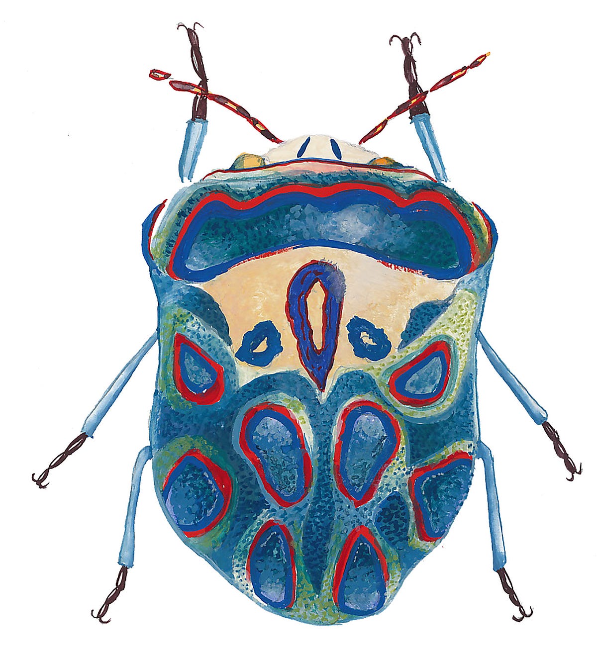 Insect Investigations. This section is a compilation of insect… | by ...