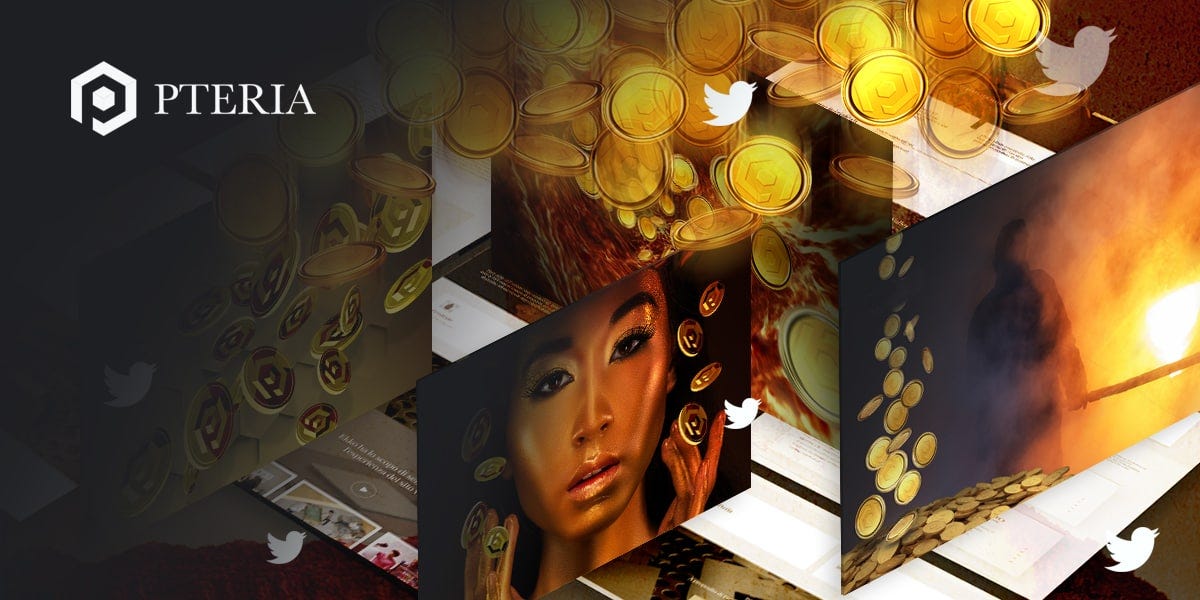 Pteria DAO: a Recap of the Second Week - Pteria - Medium