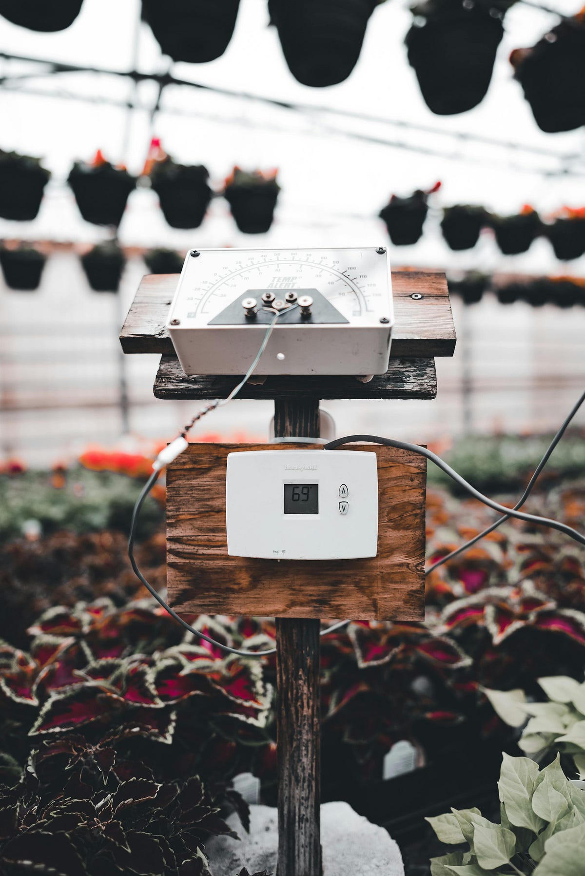 Global Temperature Sensor Market Growth Analysis 2024 — Forecast Market ...