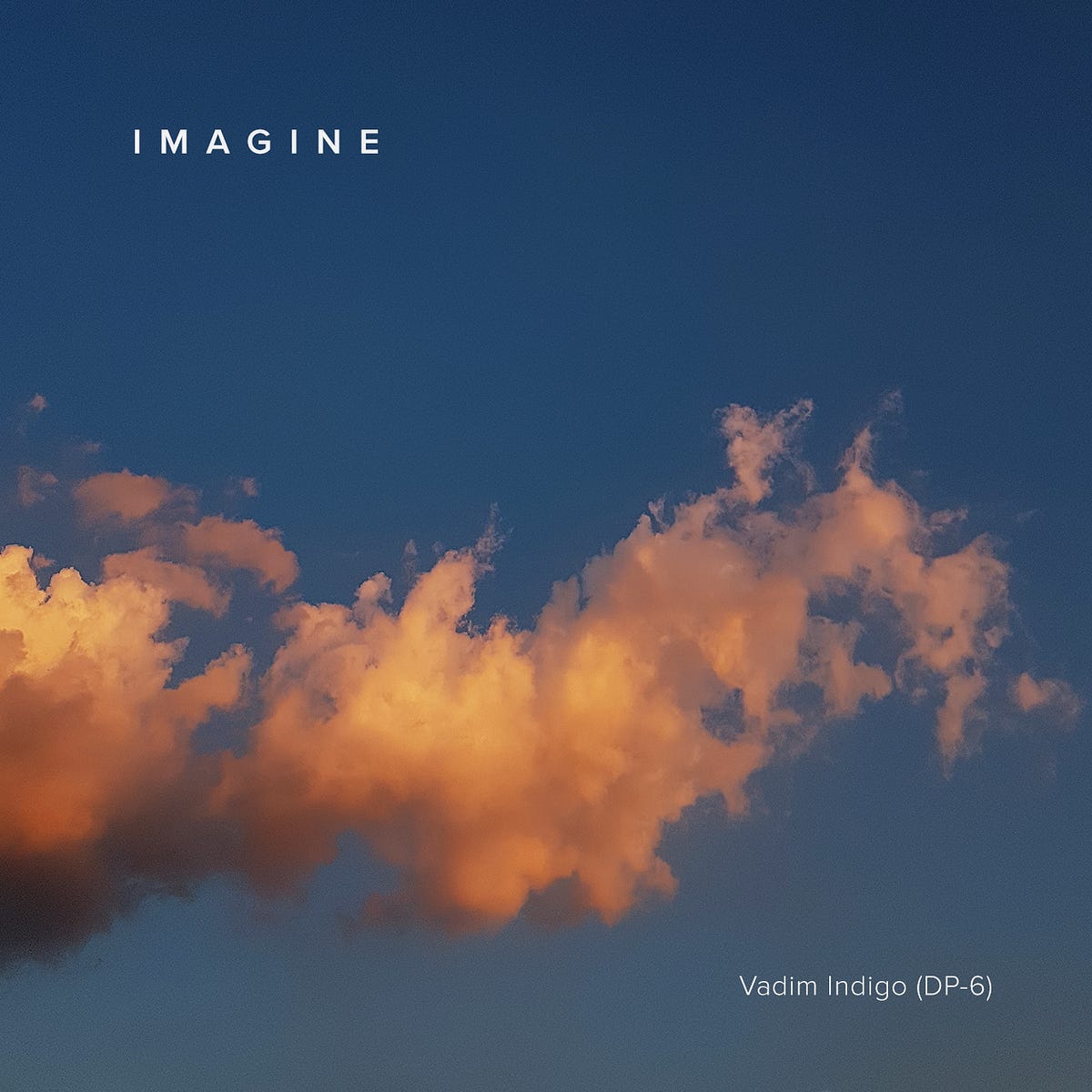 Vadim Indigo (DP-6) — Imagine - DP-6 Records - Medium