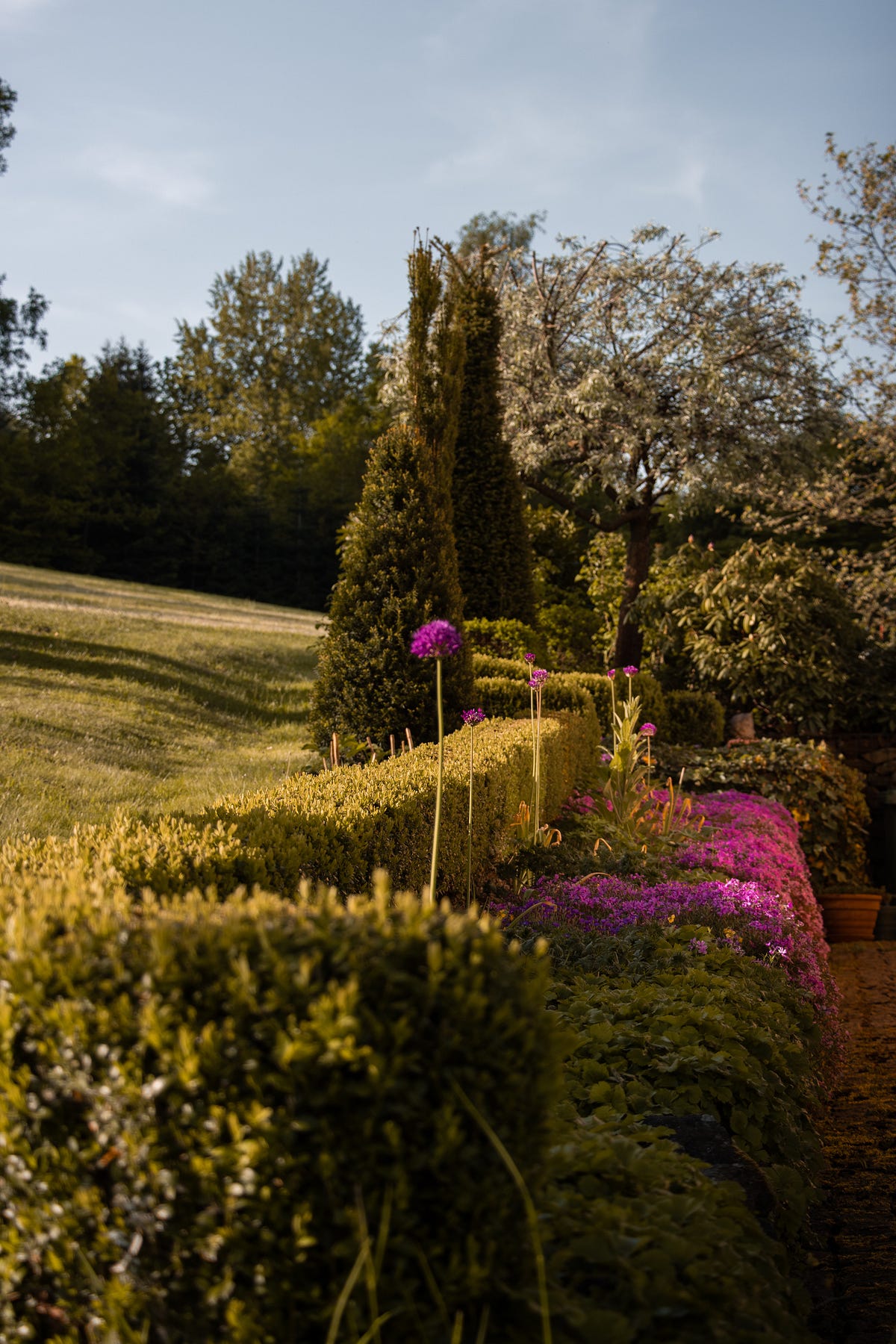 Texas Hedges That Are a Must-Have - Tyler Donawan - Medium