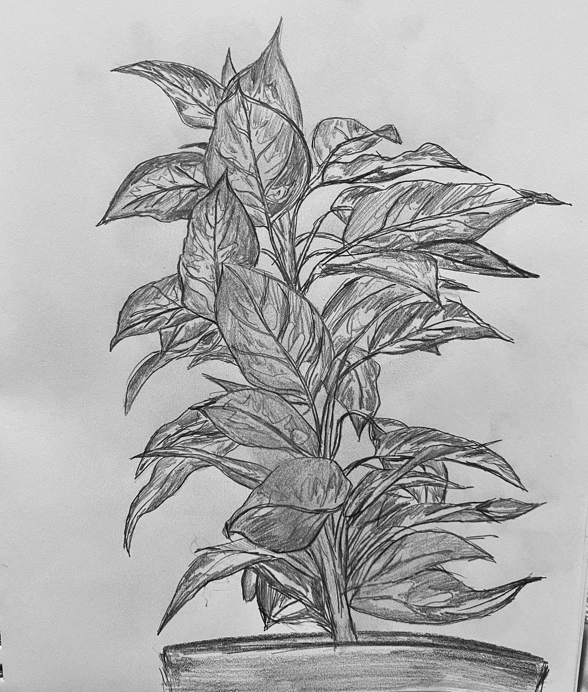 Wk 3 — Art Activity — Drawing. I do enjoy drawing, and so the activity… | by Dora Yela | Medium