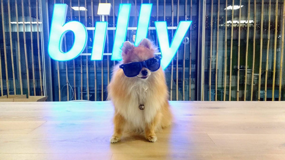 Billy welcomes its newest star.. Today has been a big day at Billy ...