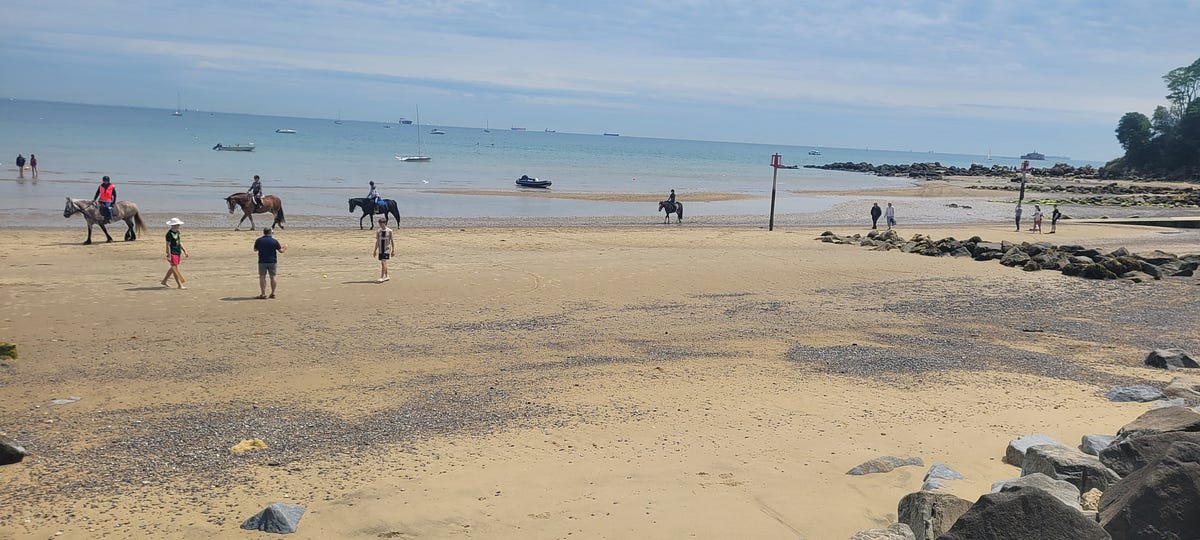 Isle of Wight Coastal Trail Run 2023 | by Gary Randle | Jul, 2023 | Medium