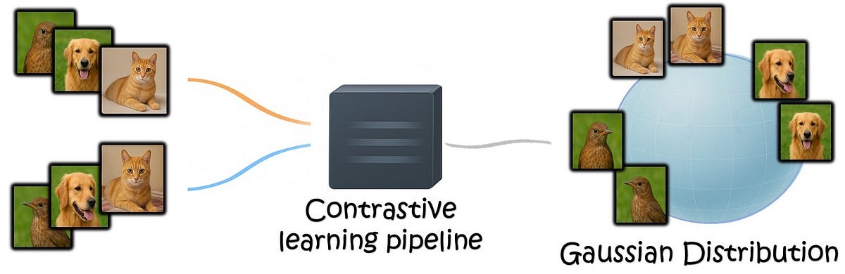 Why Contrastive Learning Naturally Produces Gaussian Representations ...