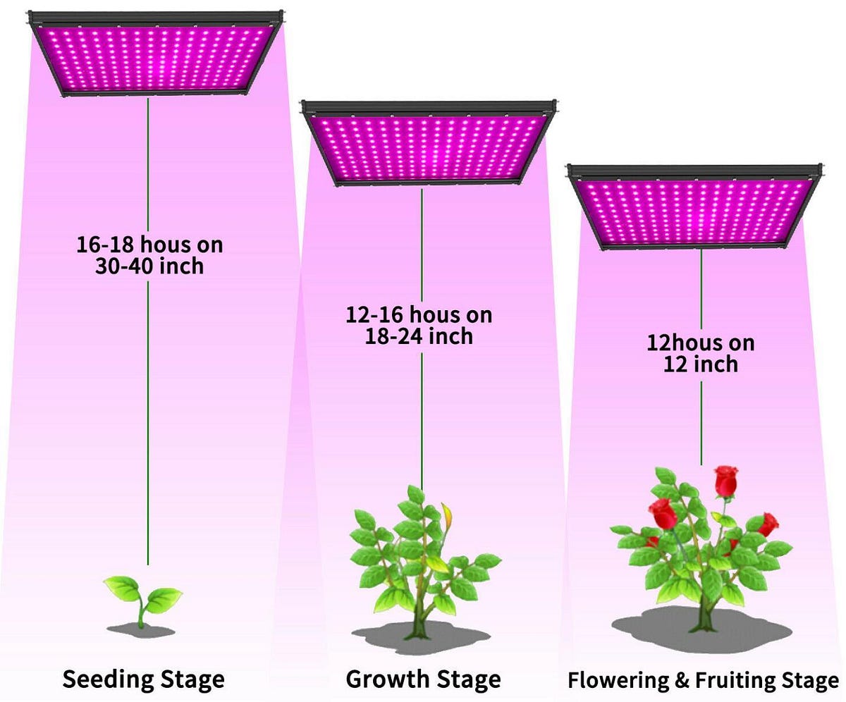 LED Grow Light Distance and Placement Tips | by Californialightworks ...