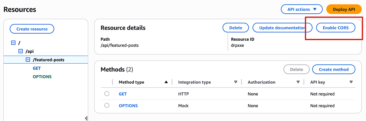 Troubleshooting CORS Errors with AWS API Gateway | by Nolan Donovan | Medium