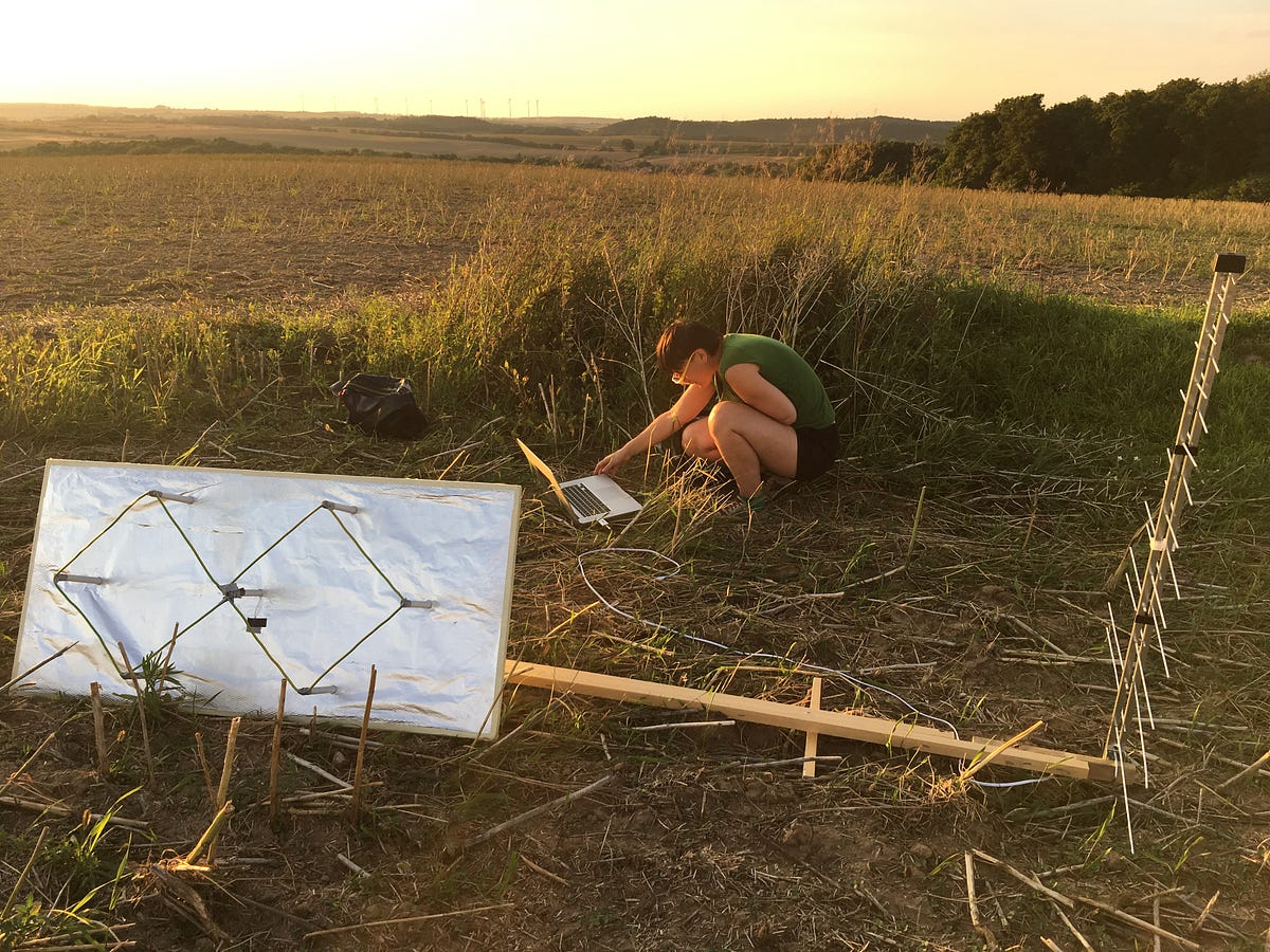 Summer updates. We’ve been pretty busy with Signal Tide… | by Kata ...