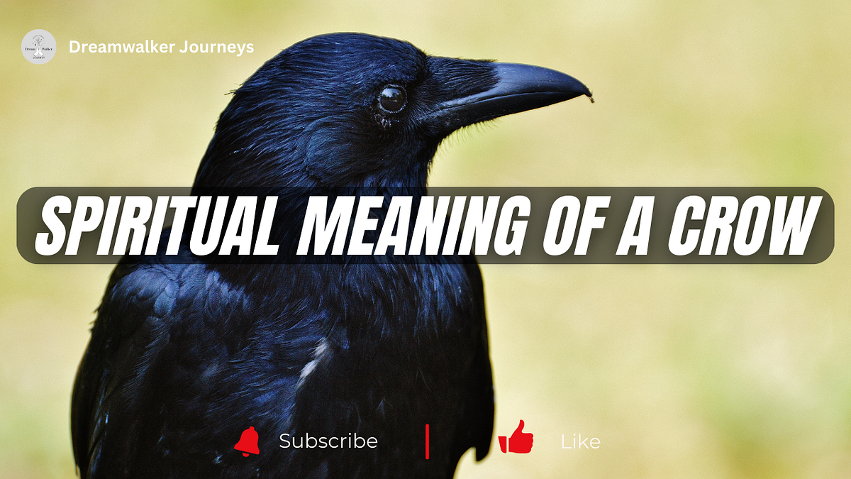 Spiritual Meaning of a Crow: A Detailed Overview | by Spiritual ...