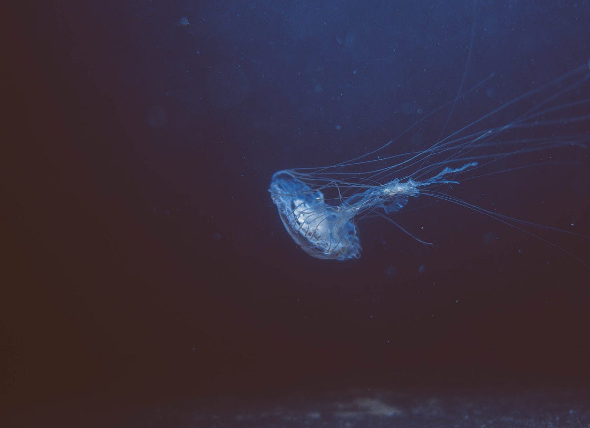 Norwegian parliament reaches agreement on deep-sea mining in the Arctic ...