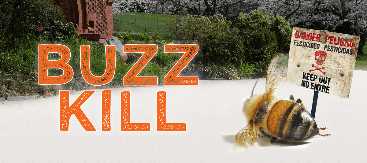 Buzz Kill: The pesticide industry blocks bee protections nationwide ...
