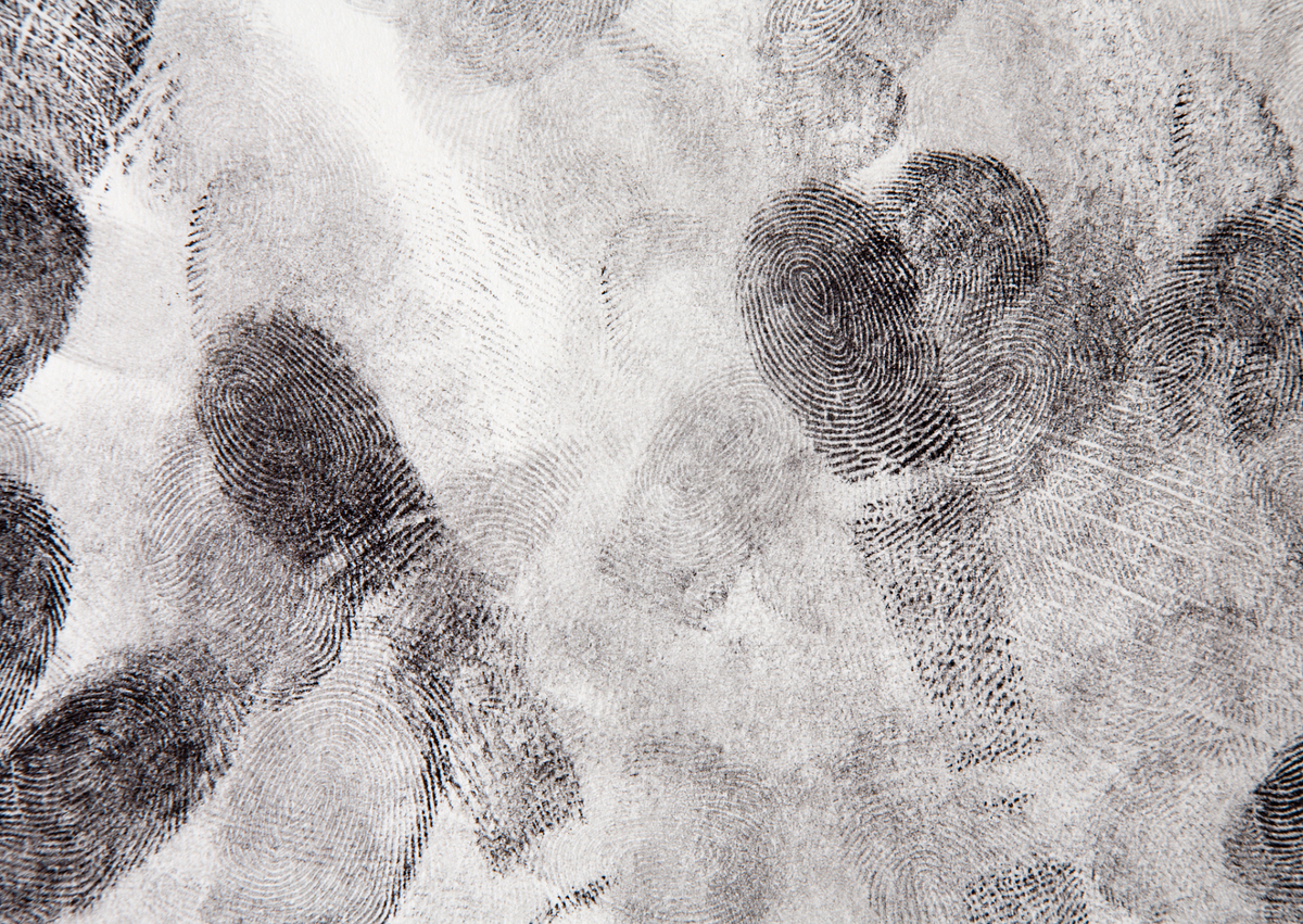 Do Twins Share Fingerprints? And Other Curious Questions Answered | by ...