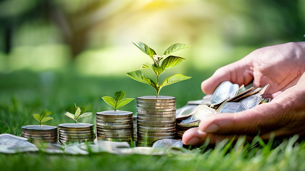 A Three-Pot System on Managing Wealth | by @bileckme | Aug, 2024 | Medium