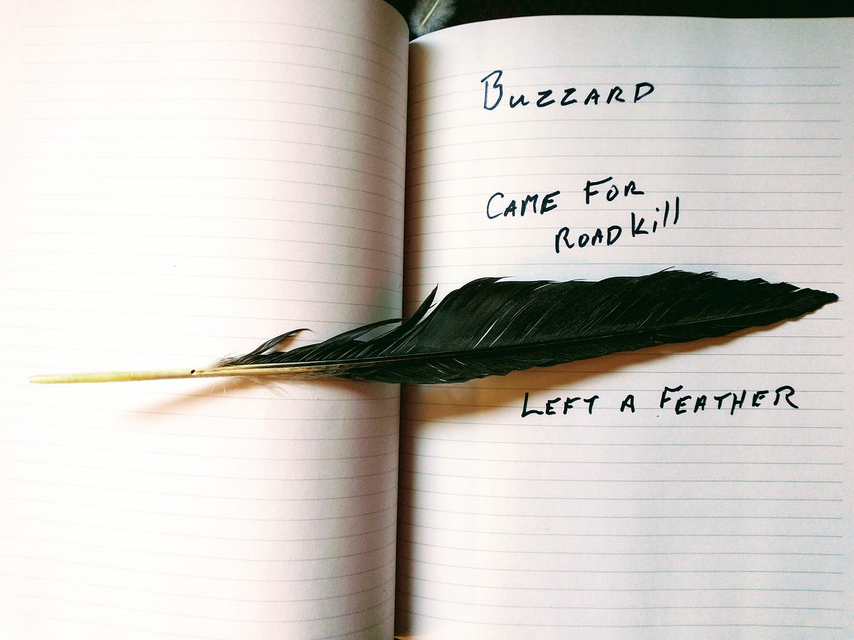 Buzzard - Paper Poetry - Medium