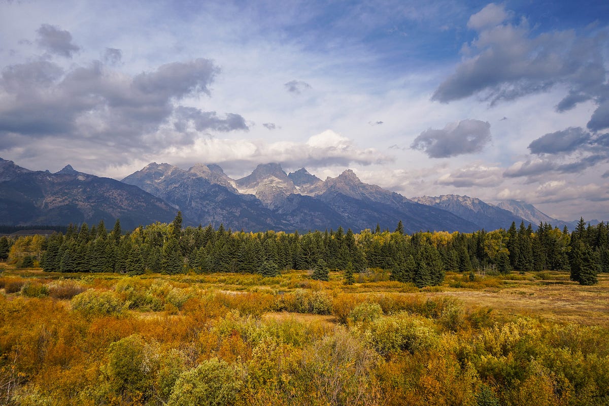 The Road to 30. How conserving 30 percent of the United… | by Hannah ...