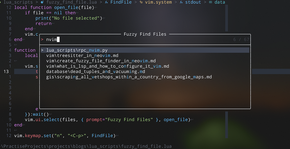 Neovim: Create a simple fuzzy file finder using Lua | by Diwash Tamang | CodeX | Oct, 2024 | Medium